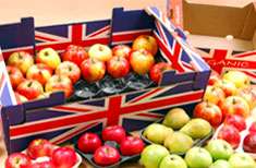 Evesham Specialist Packaging Ltd