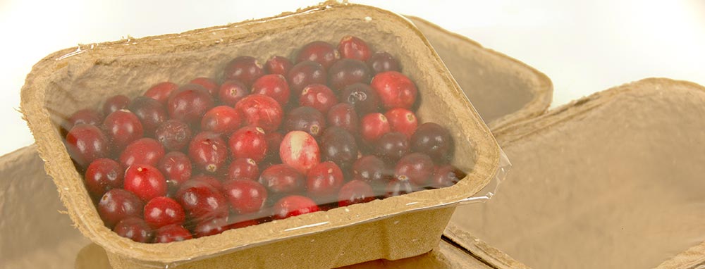 Evesham Specialist Packaging Ltd | News